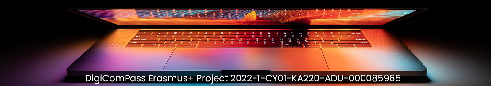 FLGlobal (USA) - DigiComPass